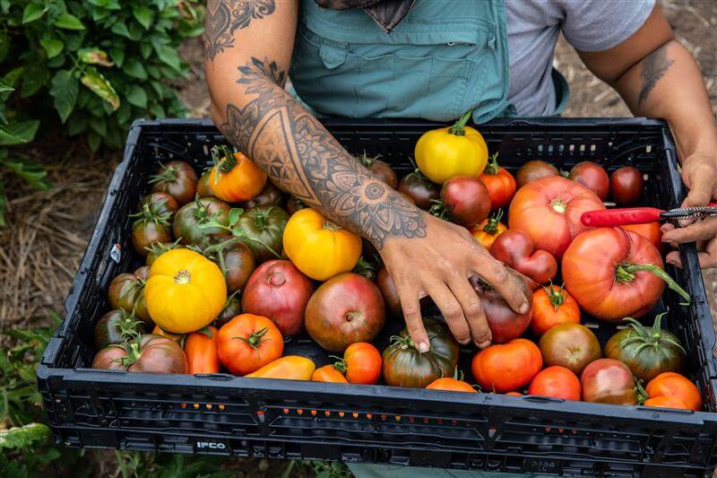 Ekar Farm's Bountiful Harvest - JEWISHcolorado