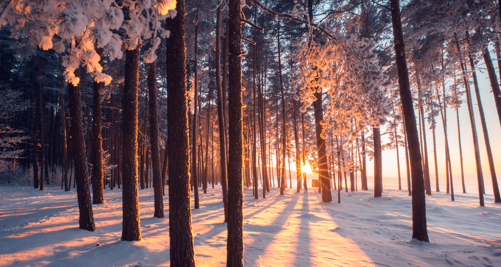 Shabbat Shalom: Drawing Near - JEWISHcolorado